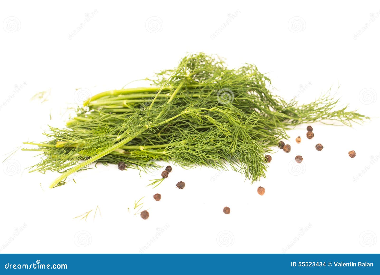 Fresh dill stock photo. Image of leaf, food, freshness - 55523434