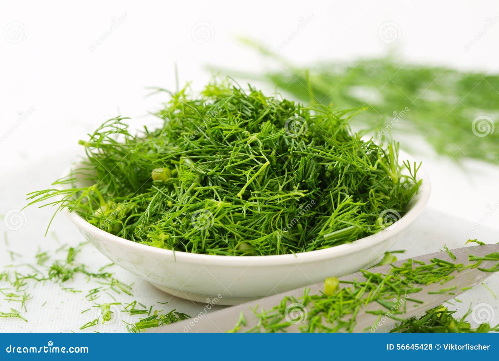 Fresh dill leaves stock photo. Image of culinary, dill - 56645428