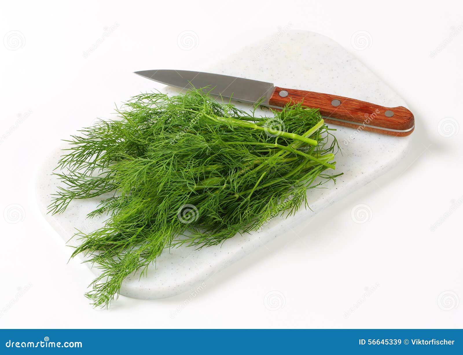 Fresh dill stock image. Image of herb, shot, culinary - 56645339