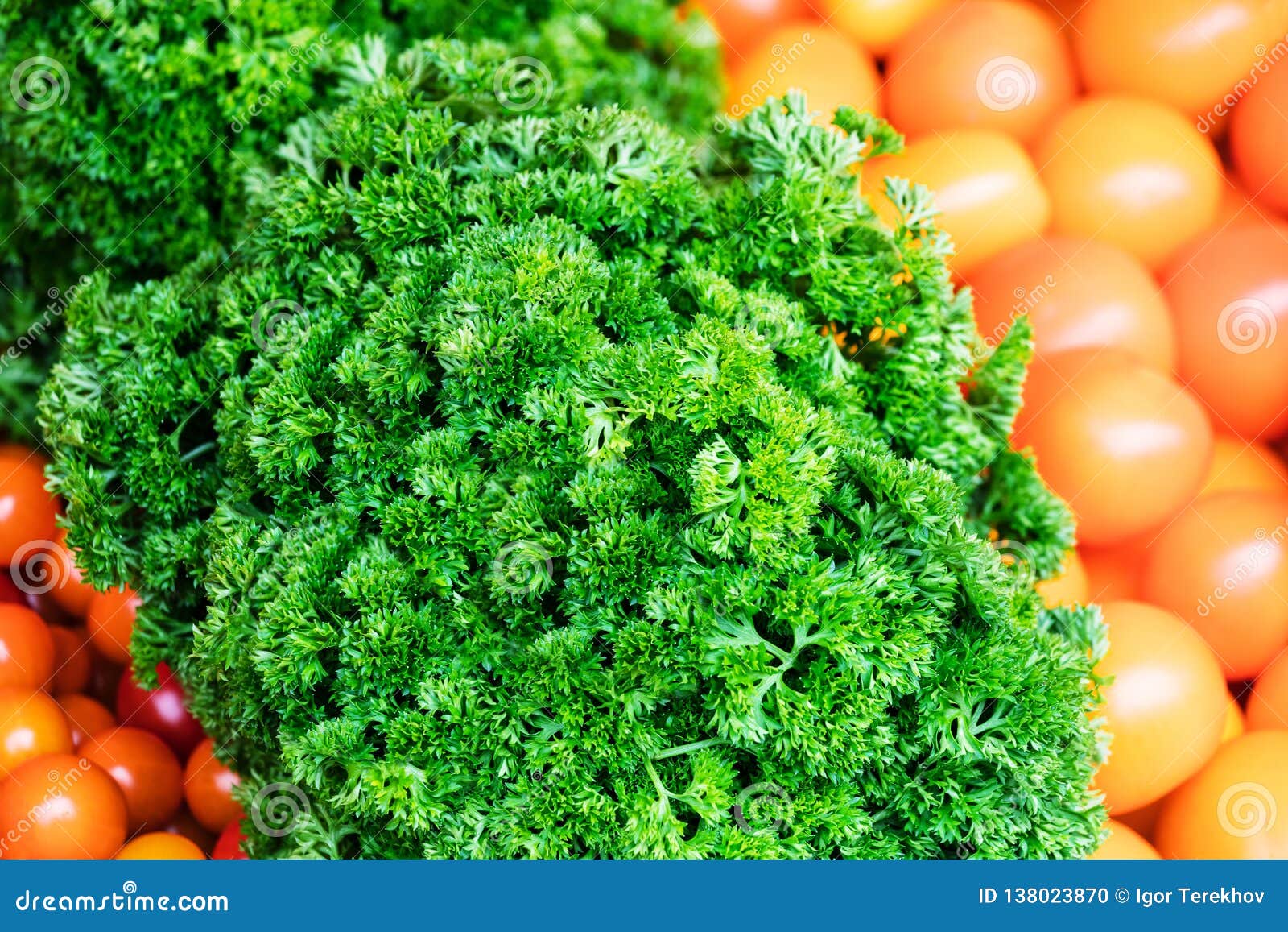 Fresh dill and tomatoes stock photo. Image of green - 138023870