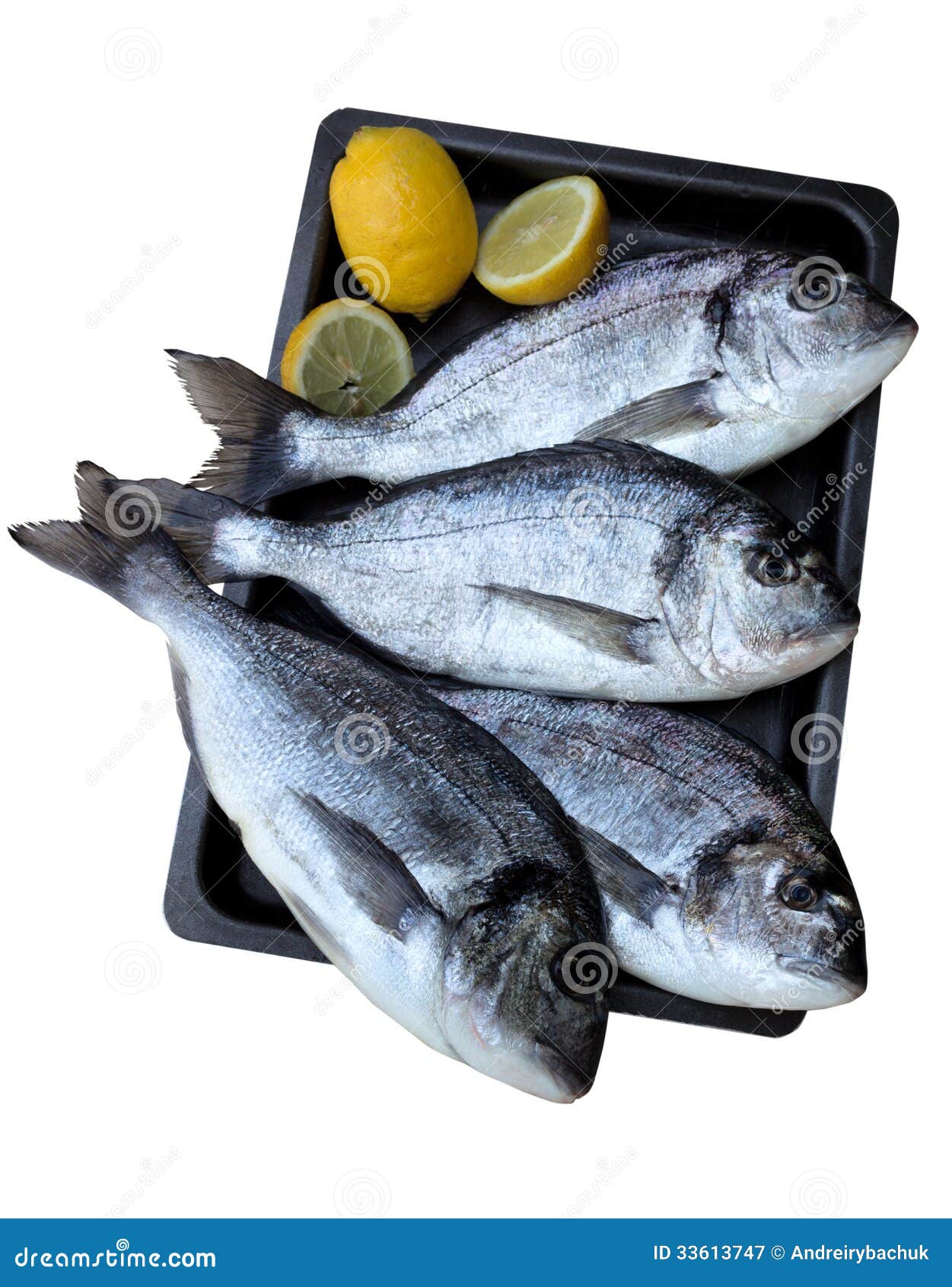 Fresh dorada fish stock image. Image of eating, closeup - 33613747