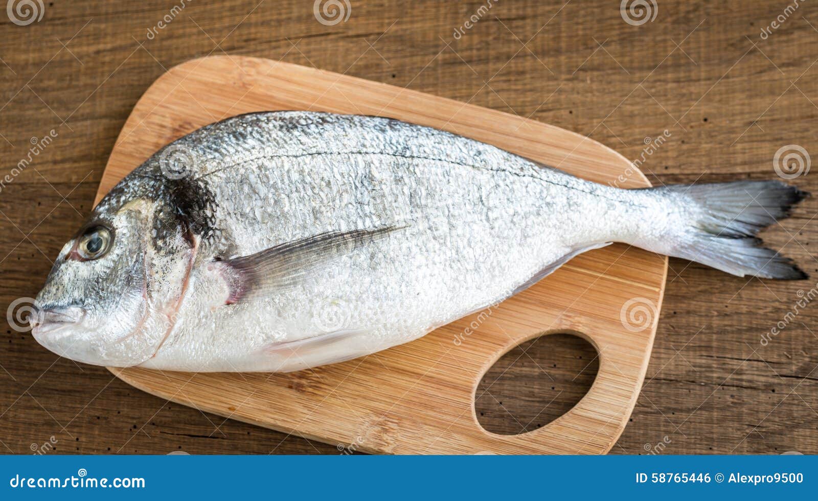 Fresh dorada fish stock photo. Image of board, ingredient - 58765446