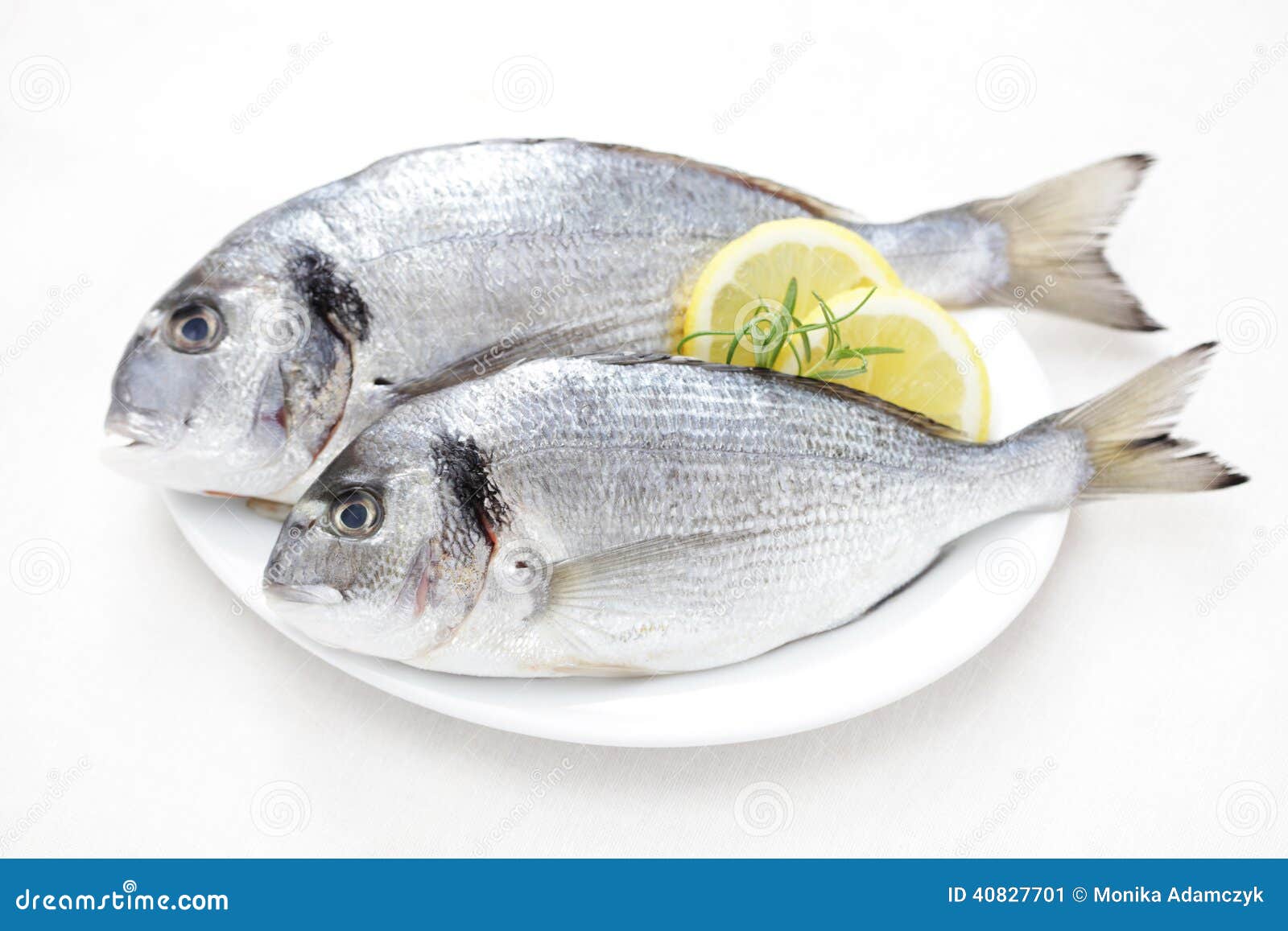 Fresh dorada stock image. Image of lemon, eating, drink - 40827701