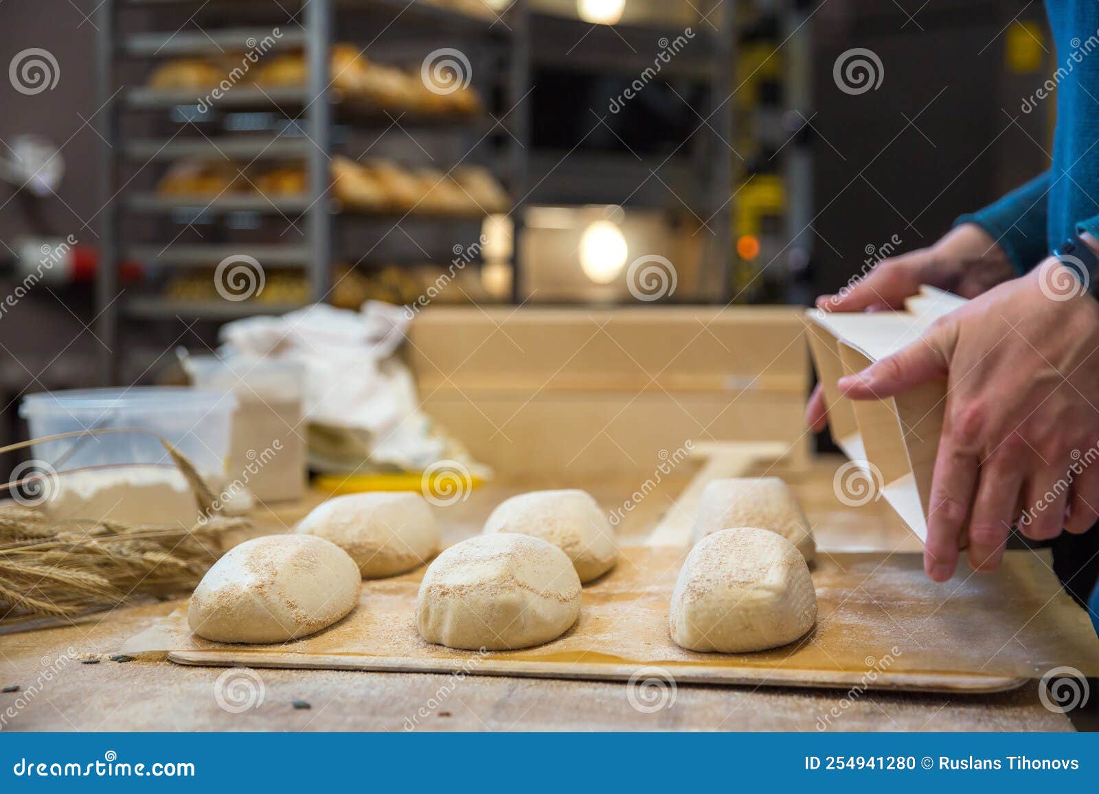 Fresh dough stock photo. Image of dish, restaurant, meal - 254941280