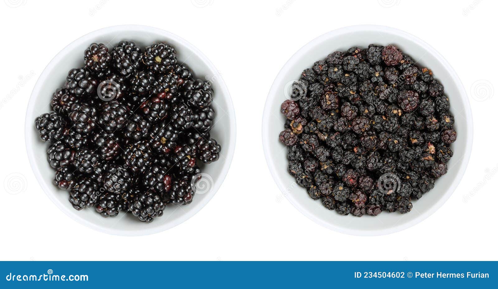 Fresh and Dried European Blackberries, in White Bowls Stock Photo ...