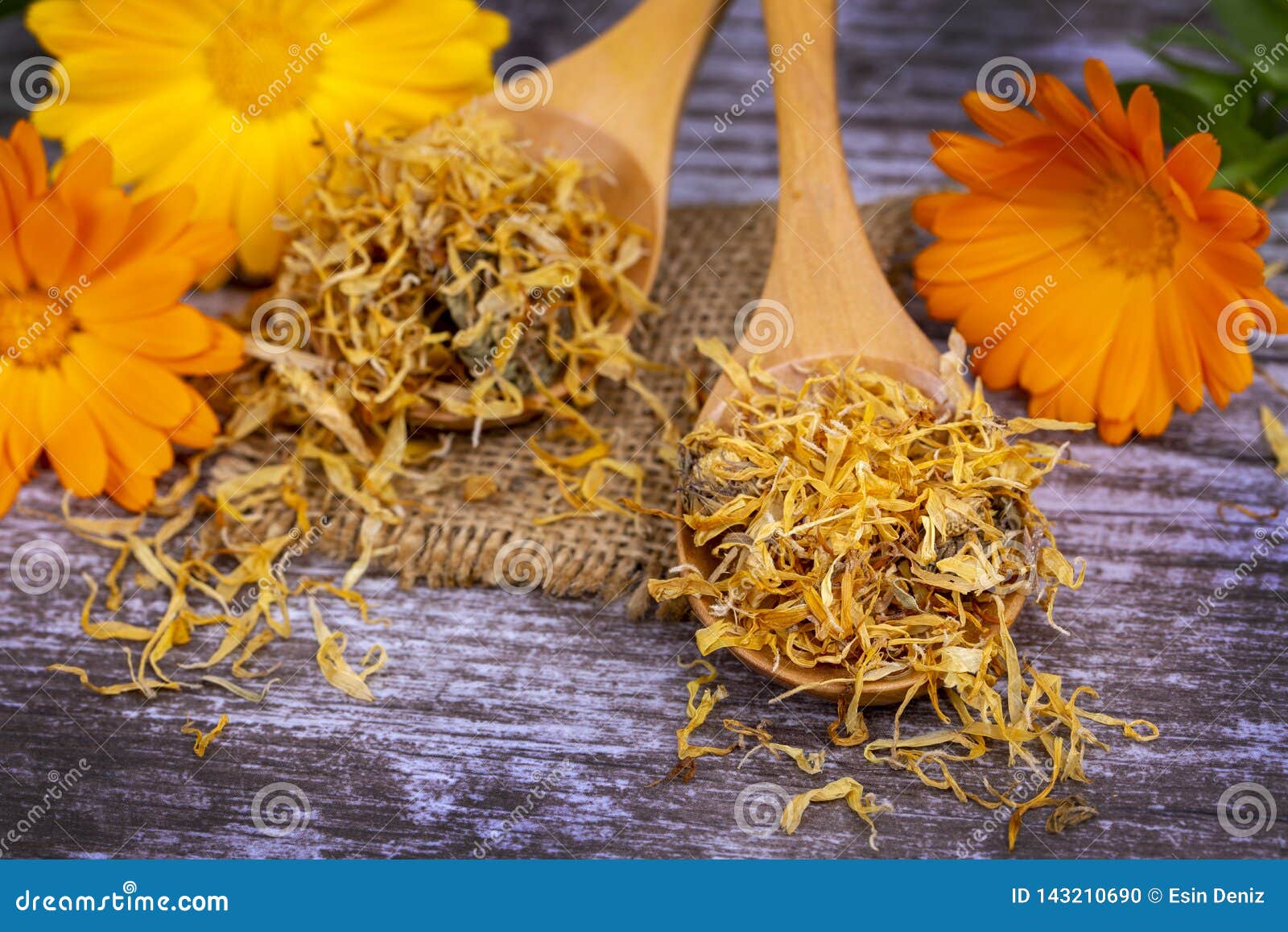 Fresh and Dried Calendula Officinalis Herbal Flowers Stock Photo ...