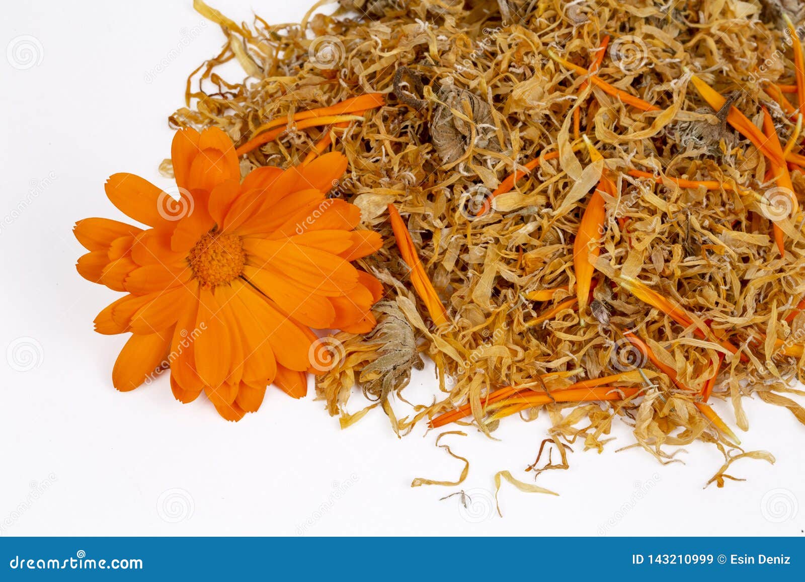 Fresh and Dried Calendula Officinalis Herbal Flowers Stock Image ...