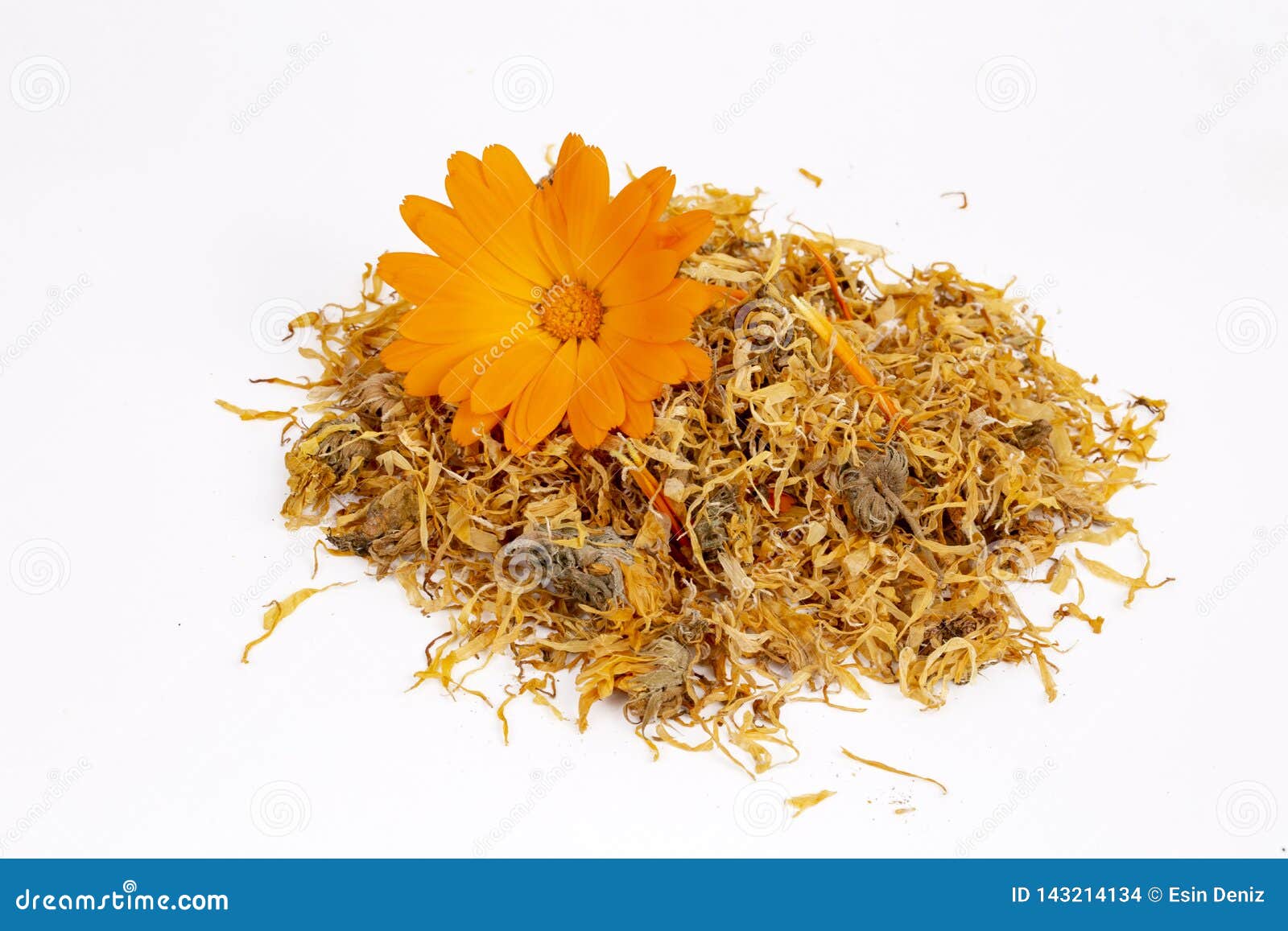 Fresh and Dried Calendula Officinalis Herbal Flowers Stock Photo ...