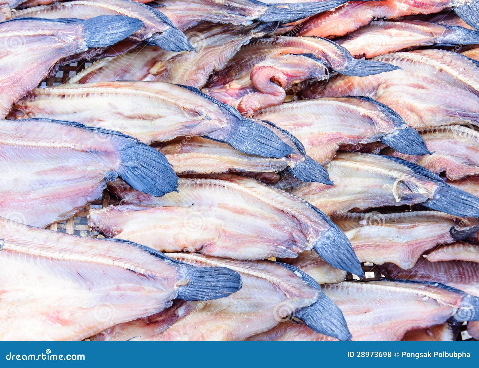 Fresh dried fish stock photo. Image of fishing, healthy - 28973698