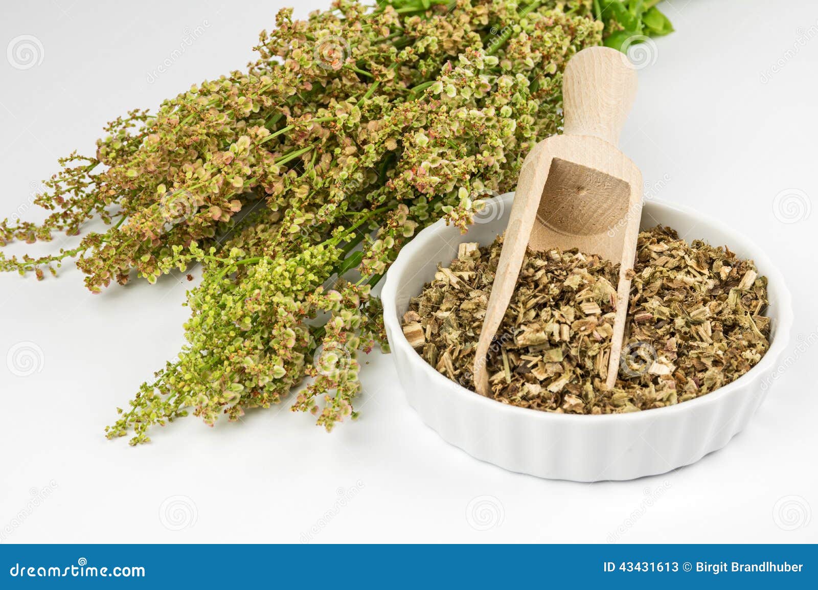 Fresh and dried sorrel stock image. Image of eating, fresh - 43431613