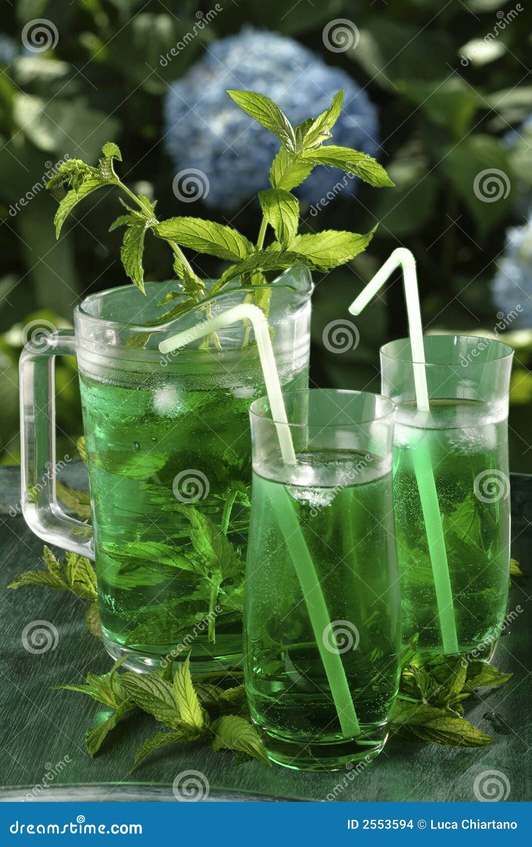 Fresh drink mint stock photo. Image of container, calories - 2553594