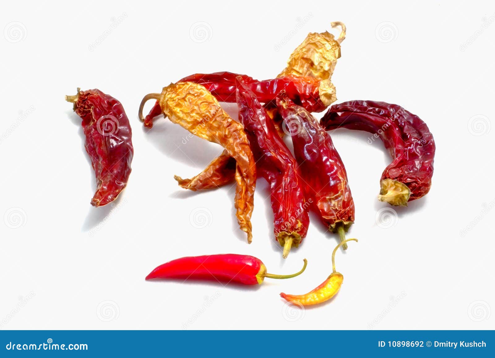 Fresh and dry Chilli stock photo. Image of closeup, chilies - 10898692