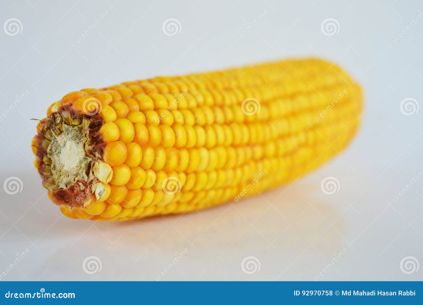 Fresh dry corn Side View stock photo. Image of close - 92970758