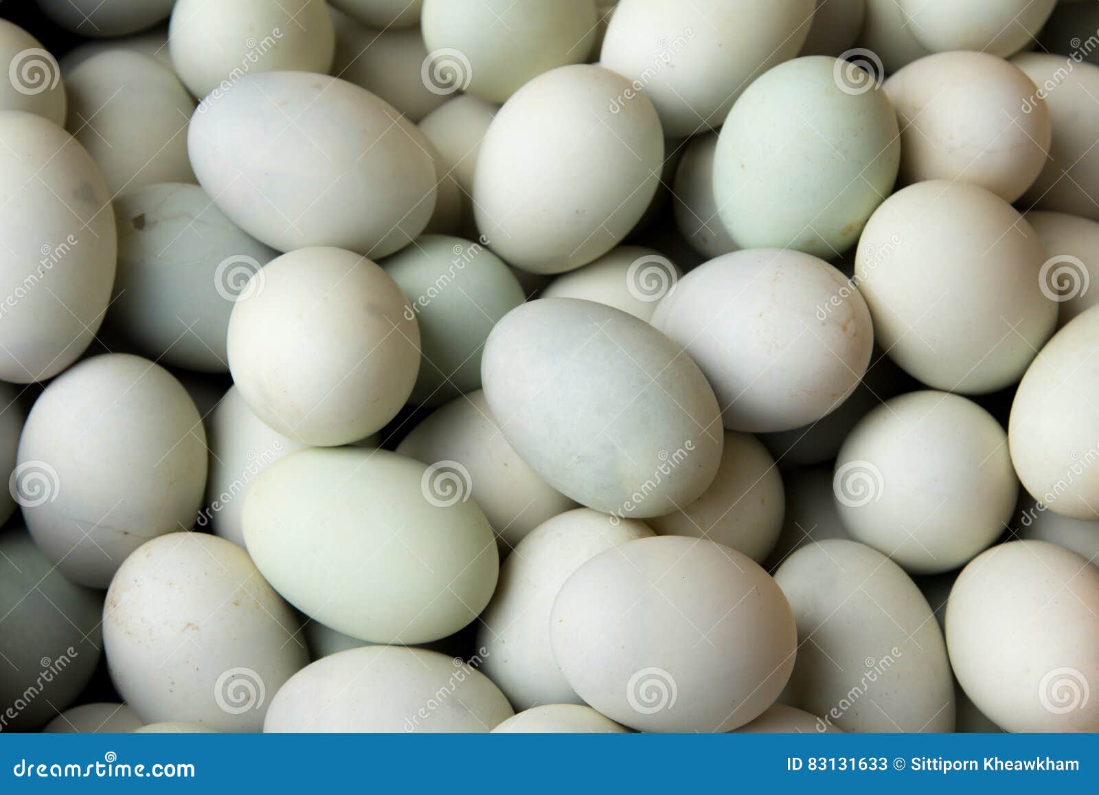Fresh duck eggs stock image. Image of meal, life, cooking - 83131633