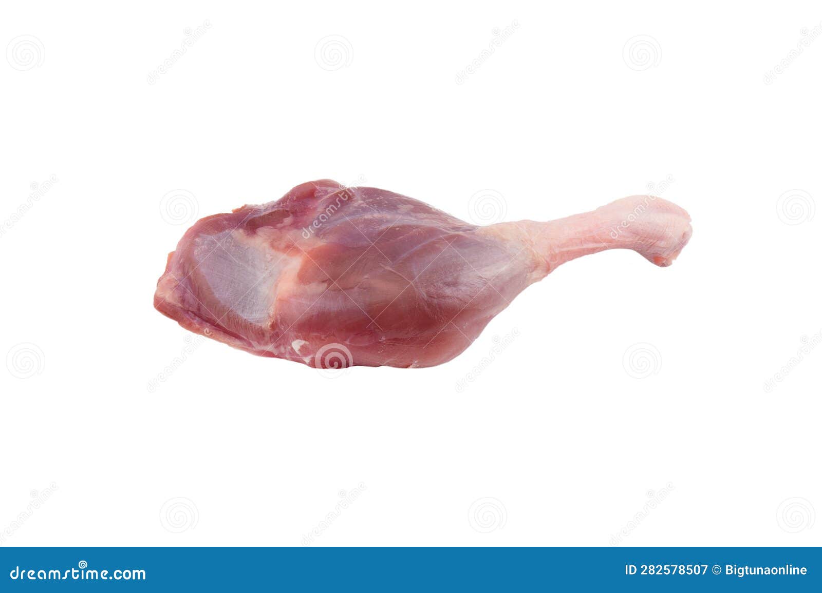 Fresh Duck Leg Meat Isolated on White Background. Raw Duck Leg Stock ...