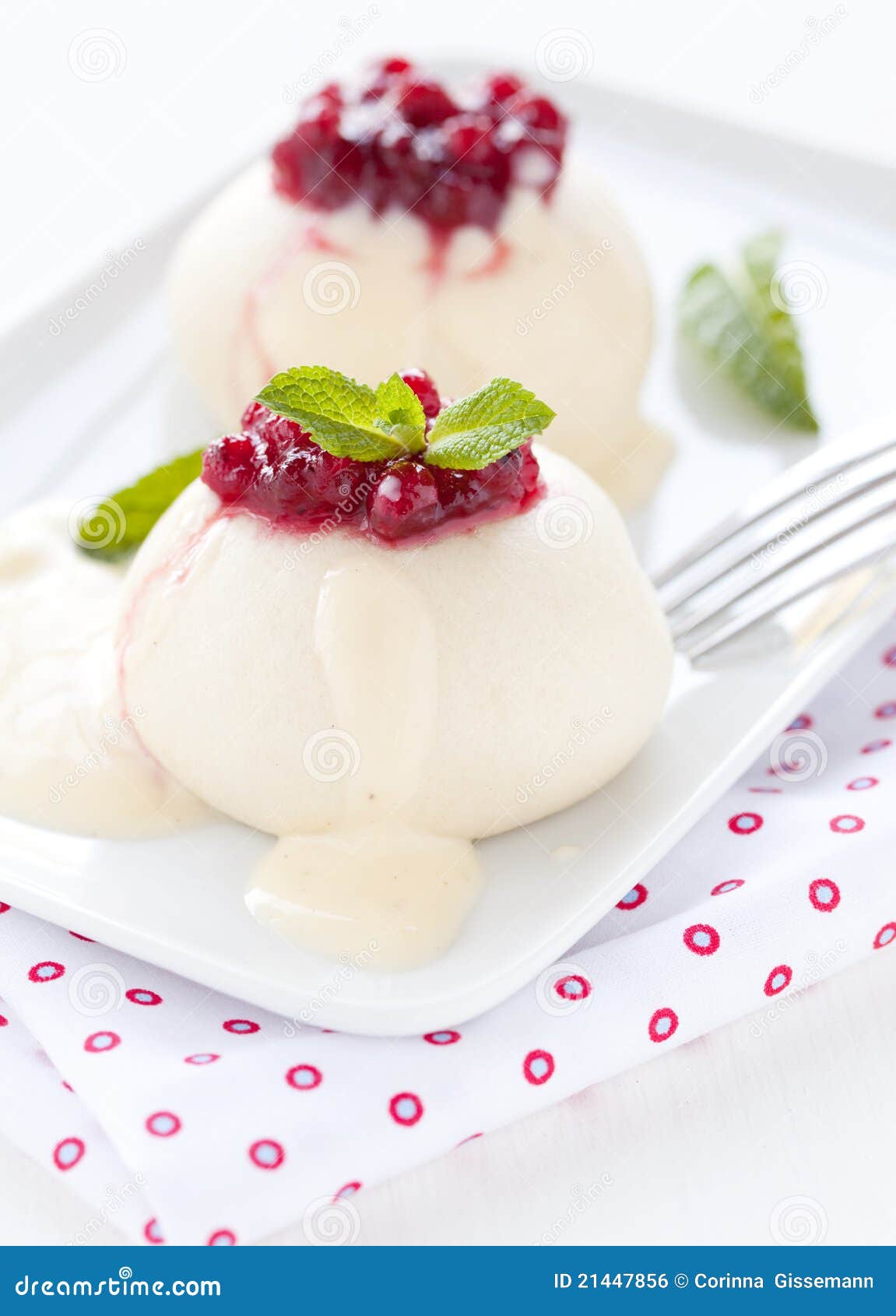 Fresh dumplings stock photo. Image of dumpling, sauce - 21447856