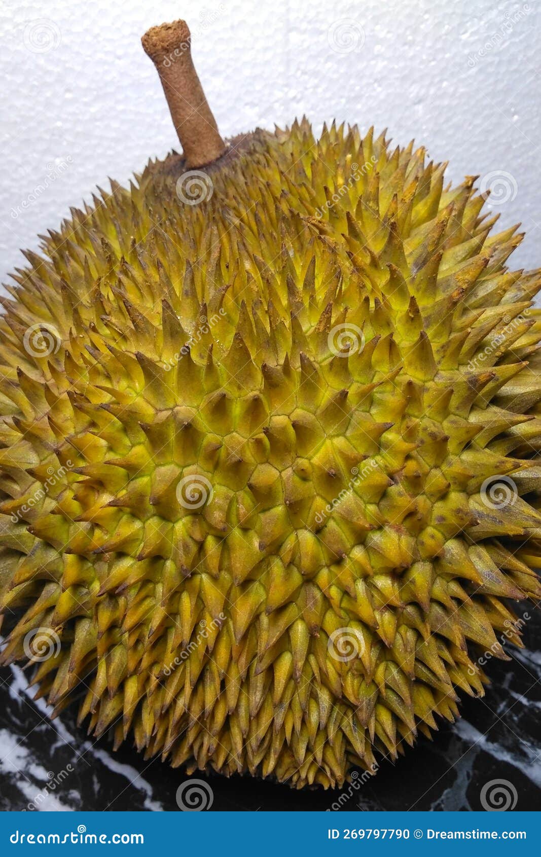 Fresh Durian Fruit on the Table Stock Photo - Image of plant, flower ...
