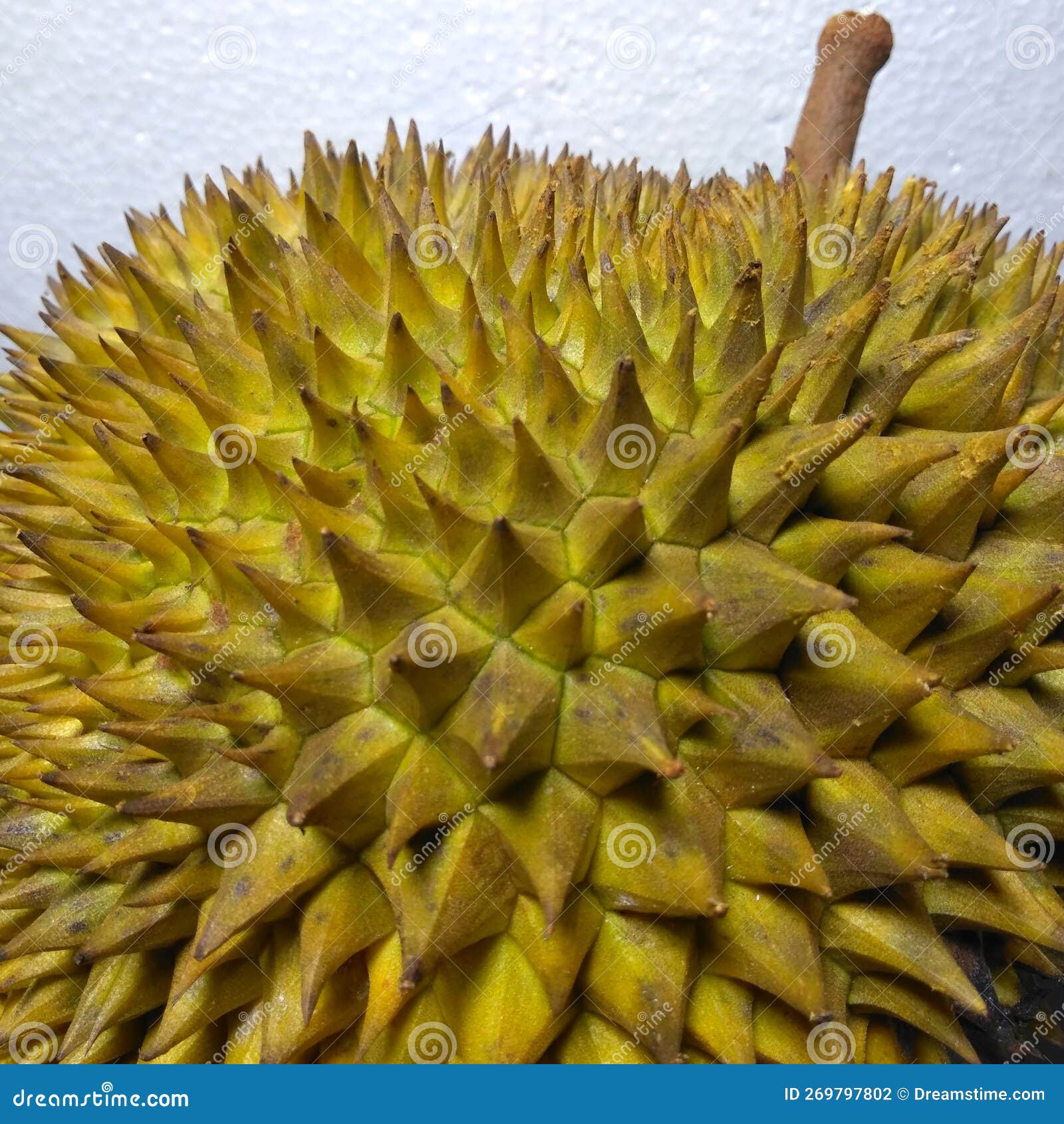 Fresh Durian Fruit on the Table Stock Photo - Image of green, durian ...