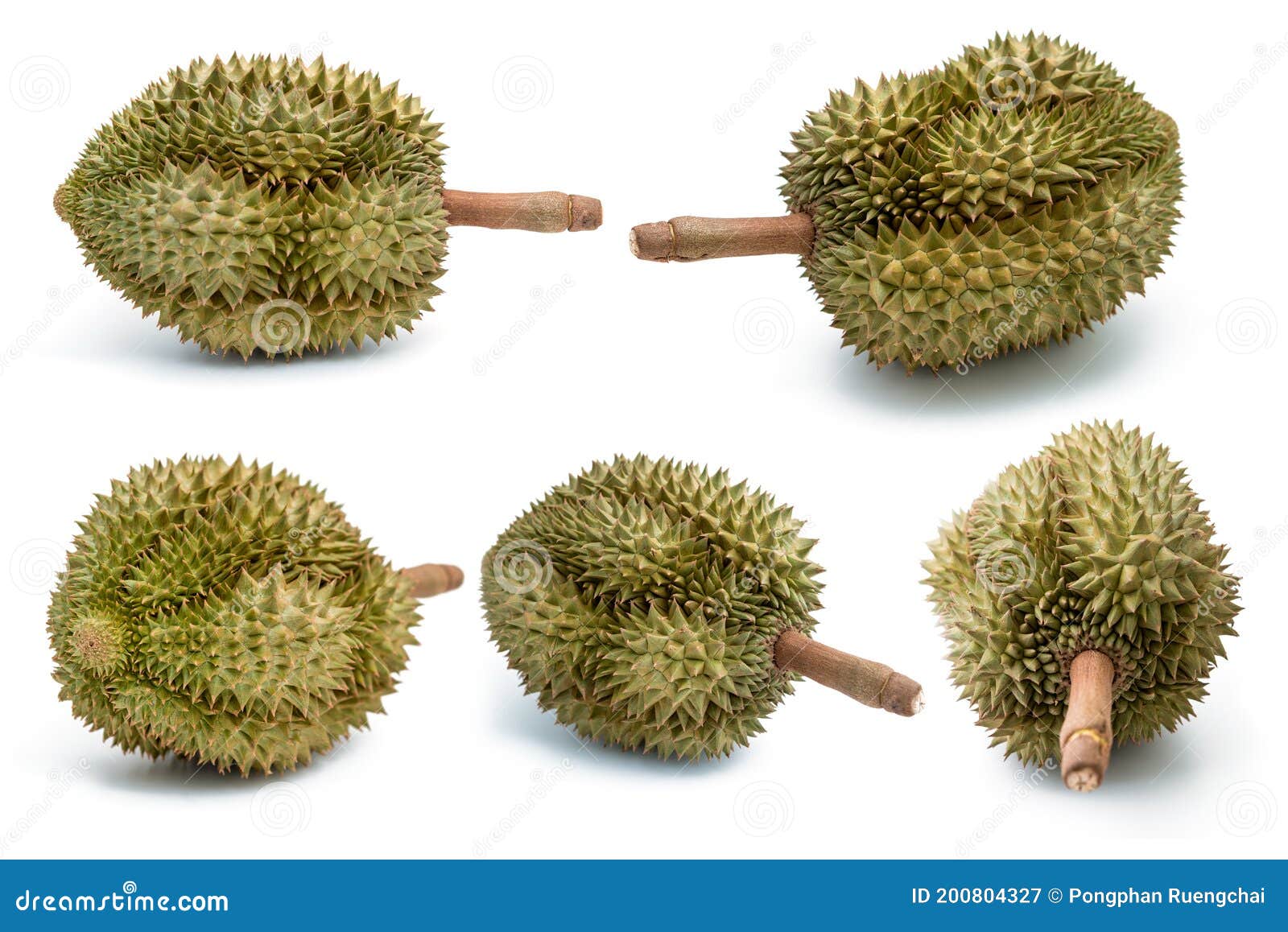 Fresh durian set stock image. Image of tropical, organic - 200804327