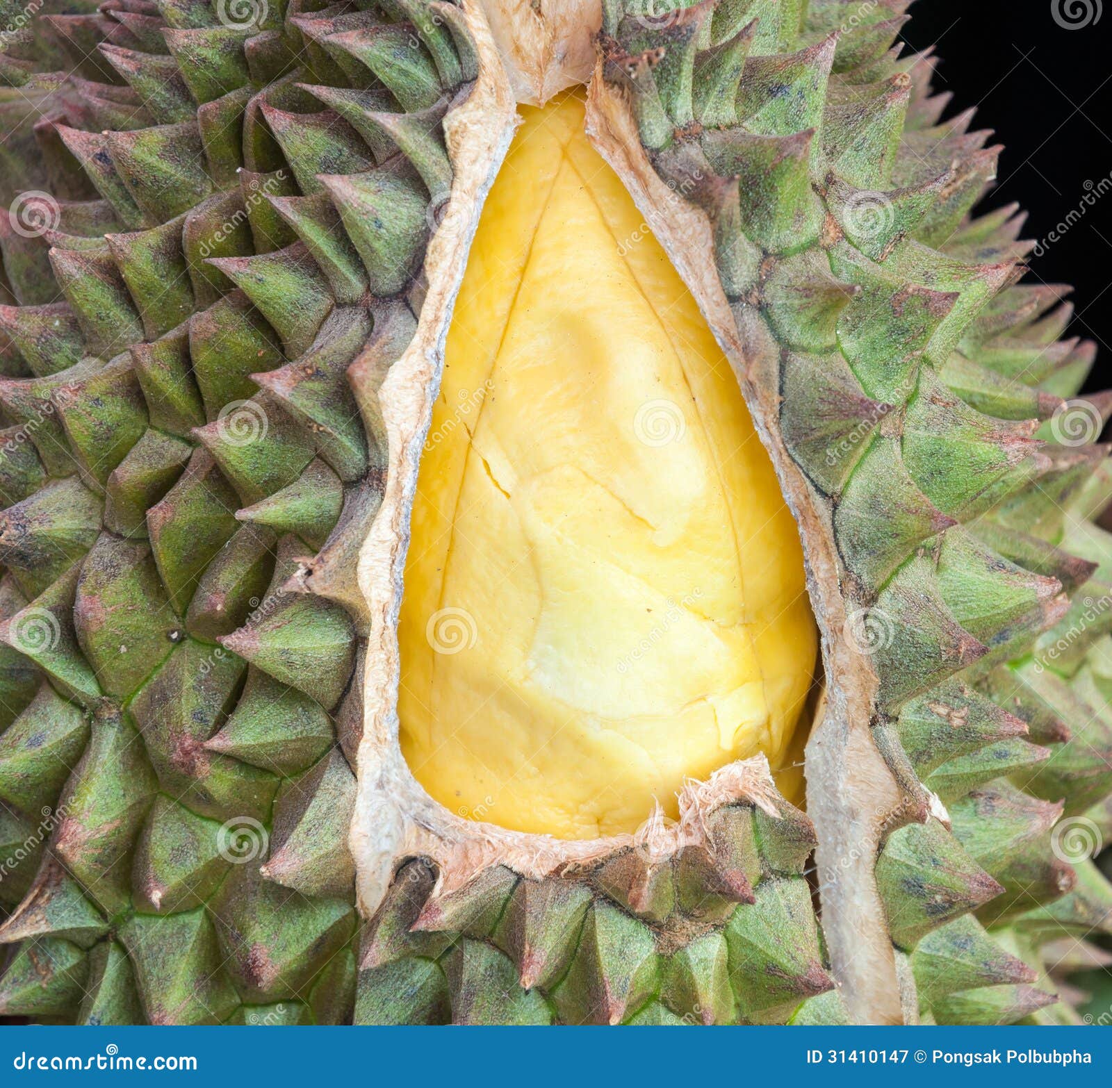 Fresh durian stock image. Image of dessert, fresh, organic - 31410147