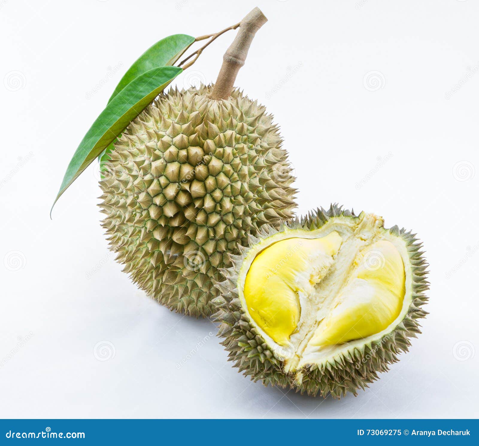 Fresh Durian on White Background Stock Image - Image of green, fresh ...