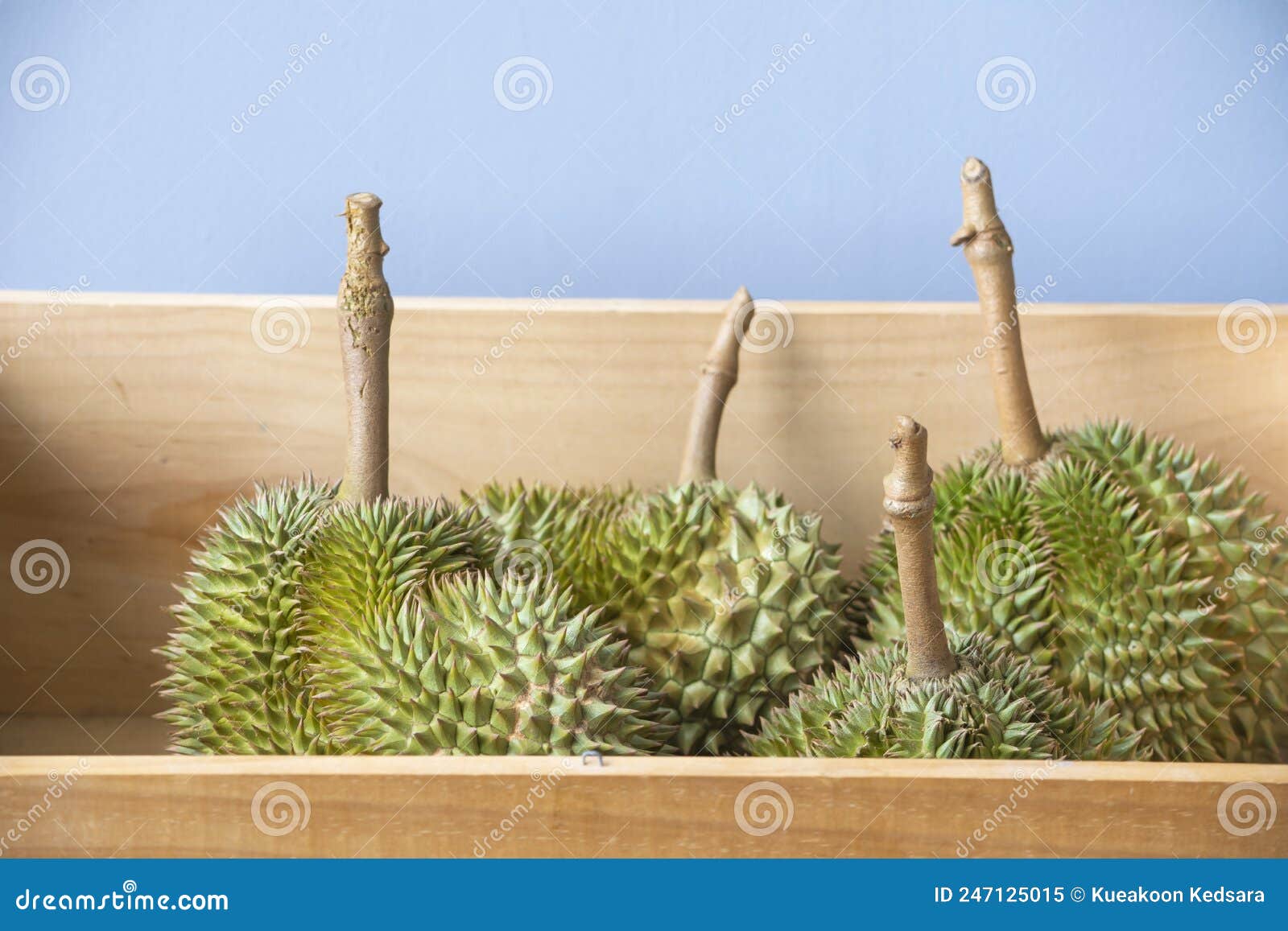 Fresh Durian in Wood Box for Delivery Stock Image - Image of delicious ...