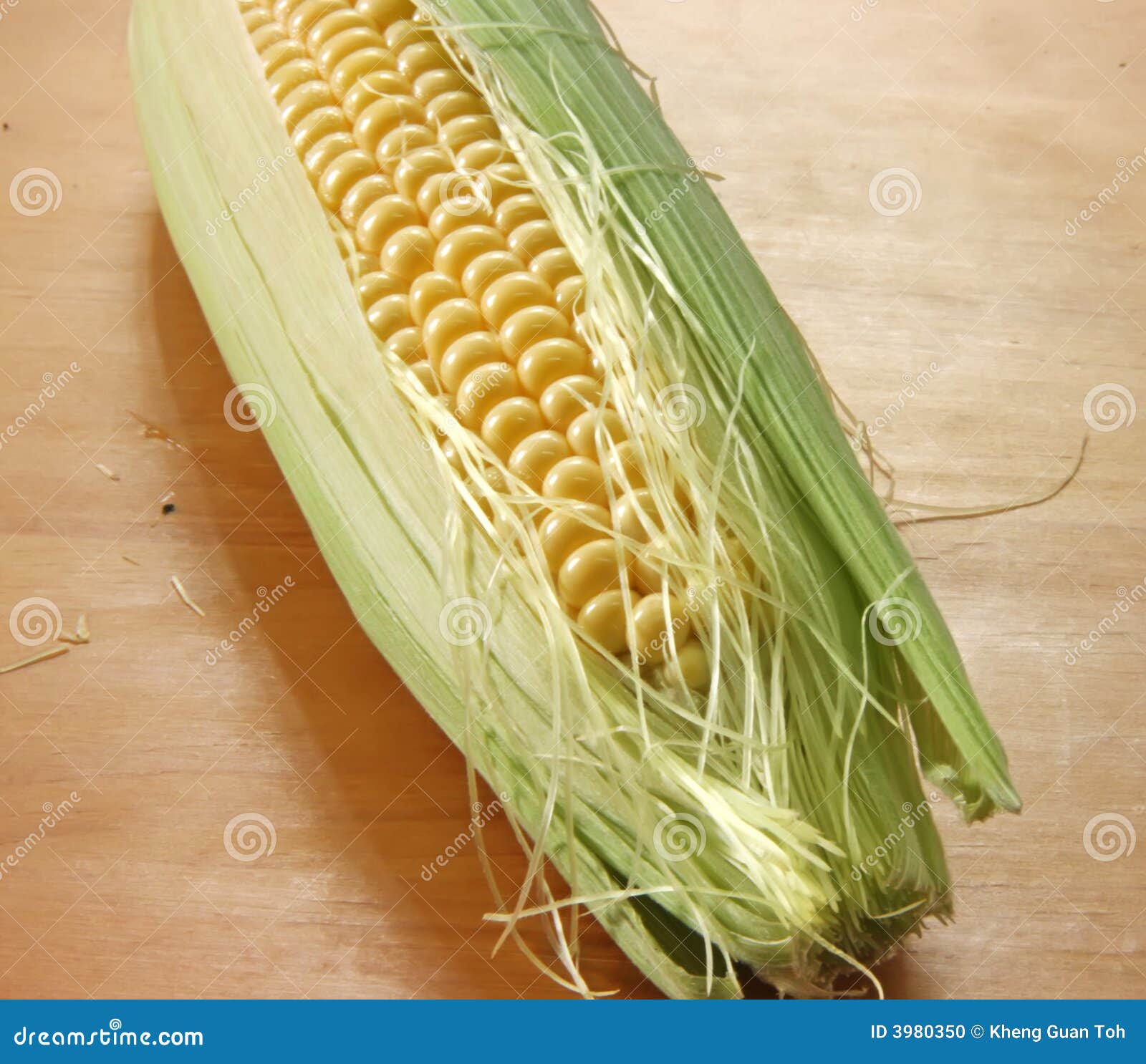 Fresh ear of corn stock photo. Image of corn, closeup - 3980350