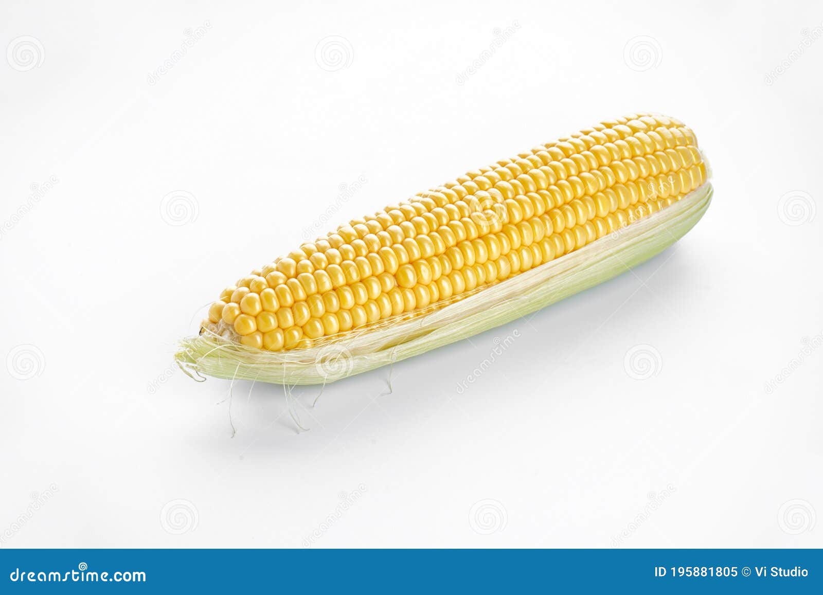 Fresh Ear of Corn on a White Background Stock Image - Image of maize ...