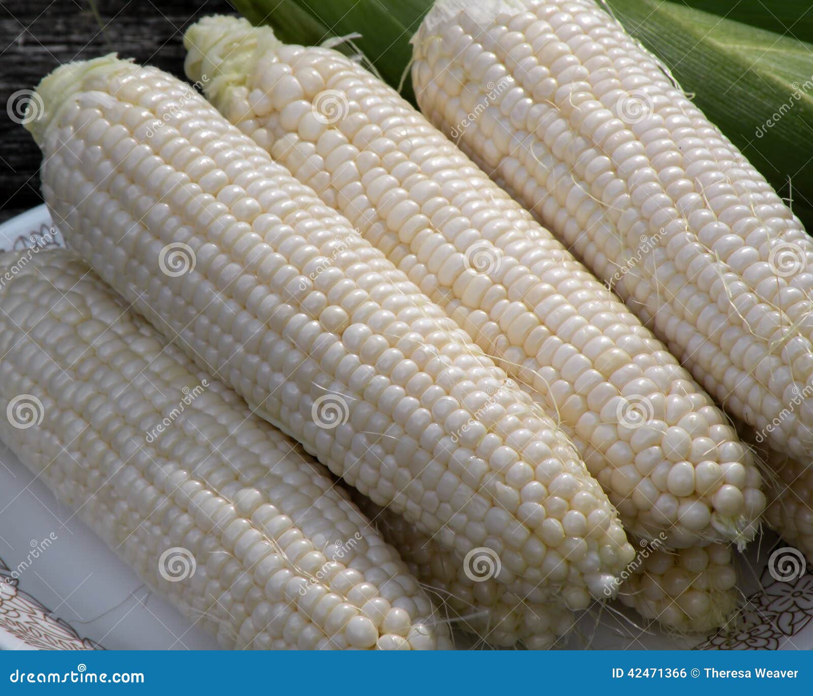 Fresh Ears of Corn on the Cob Stock Photo - Image of freshness ...