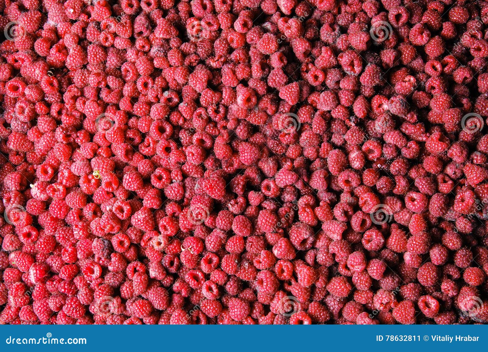 Fresh Eco Raspberries Background Stock Image - Image of healthy, macro ...