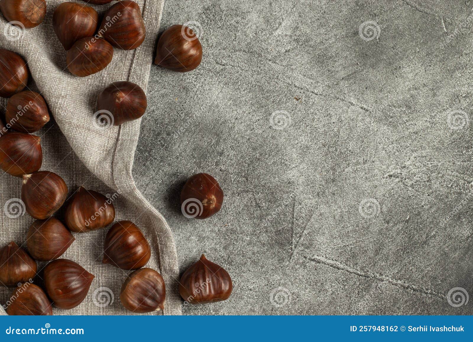 Fresh edible chestnuts. stock photo. Image of sweet - 257948162