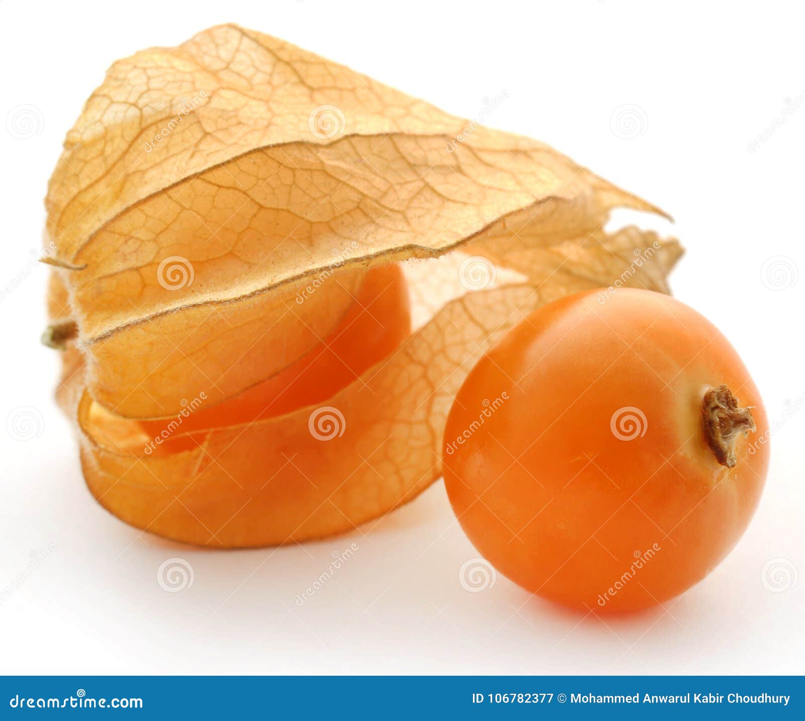 Fresh edible physalis stock image. Image of dessert - 106782377