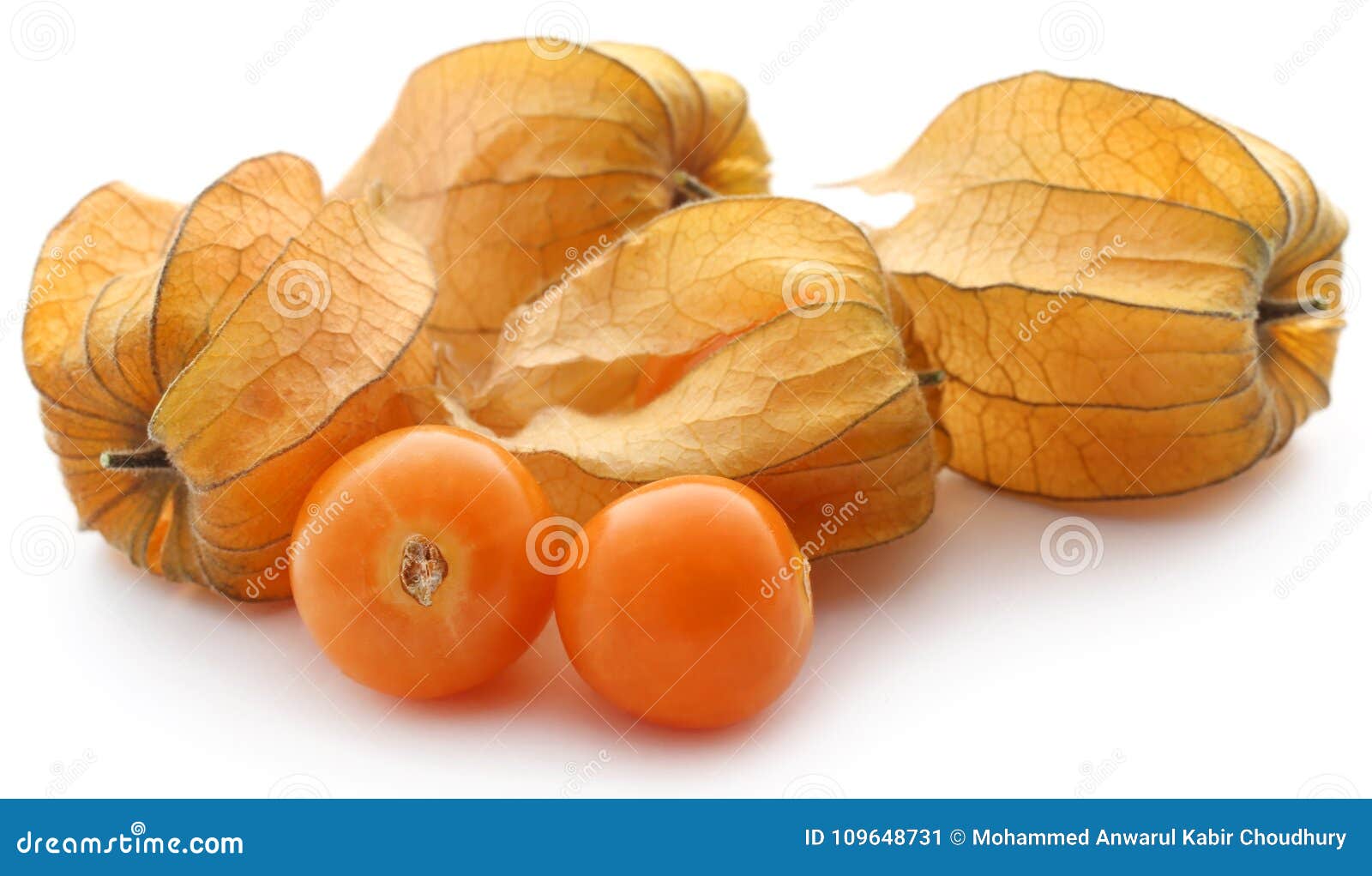 Fresh edible physalis stock image. Image of fruit, ripe - 109648731