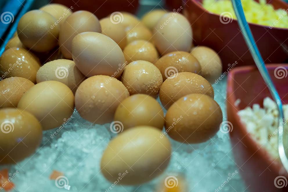 Fresh egg on buffet line stock photo. Image of cook - 100000108