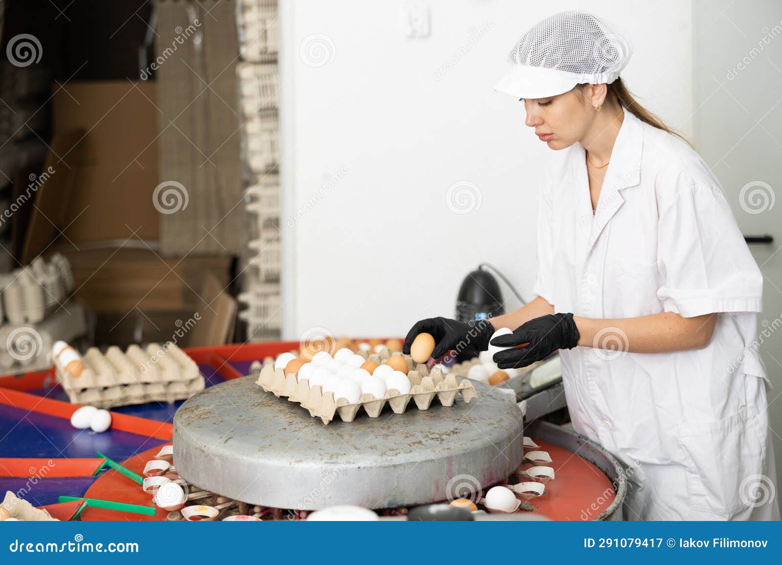 Fresh Egg Grading and Sorting Machine, Grade Egg by Weight and Size ...