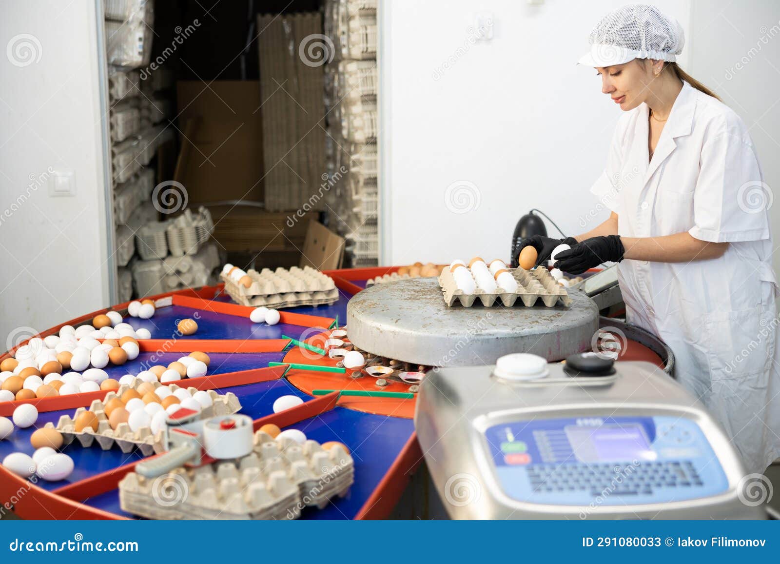 Fresh Egg Grading and Sorting Machine, Grade Egg by Weight and Size ...