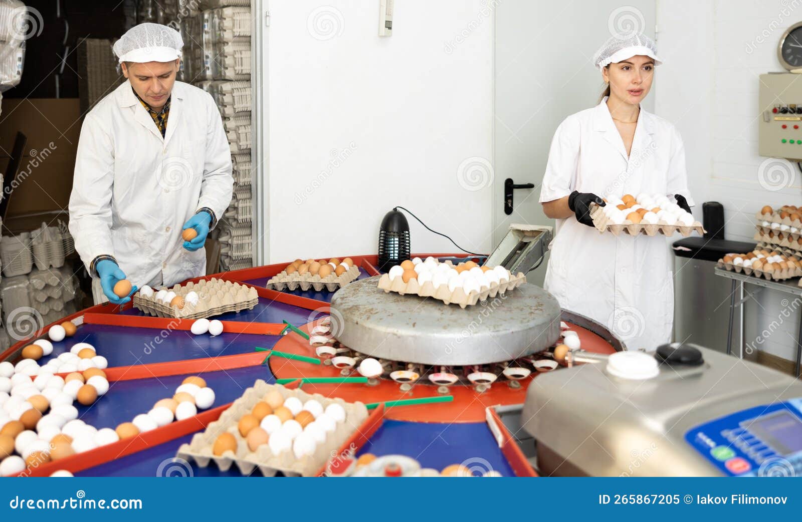 Fresh Egg Grading and Sorting Machine, Grade Egg by Weight and Size ...