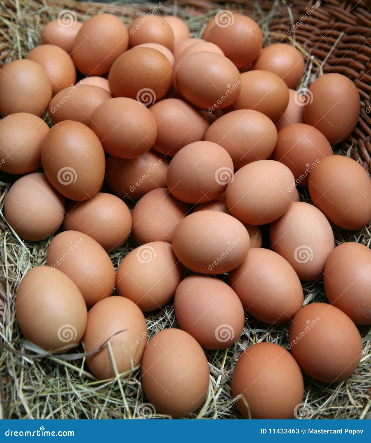 Fresh eggs stock image. Image of nutrition, merchandise - 11433463