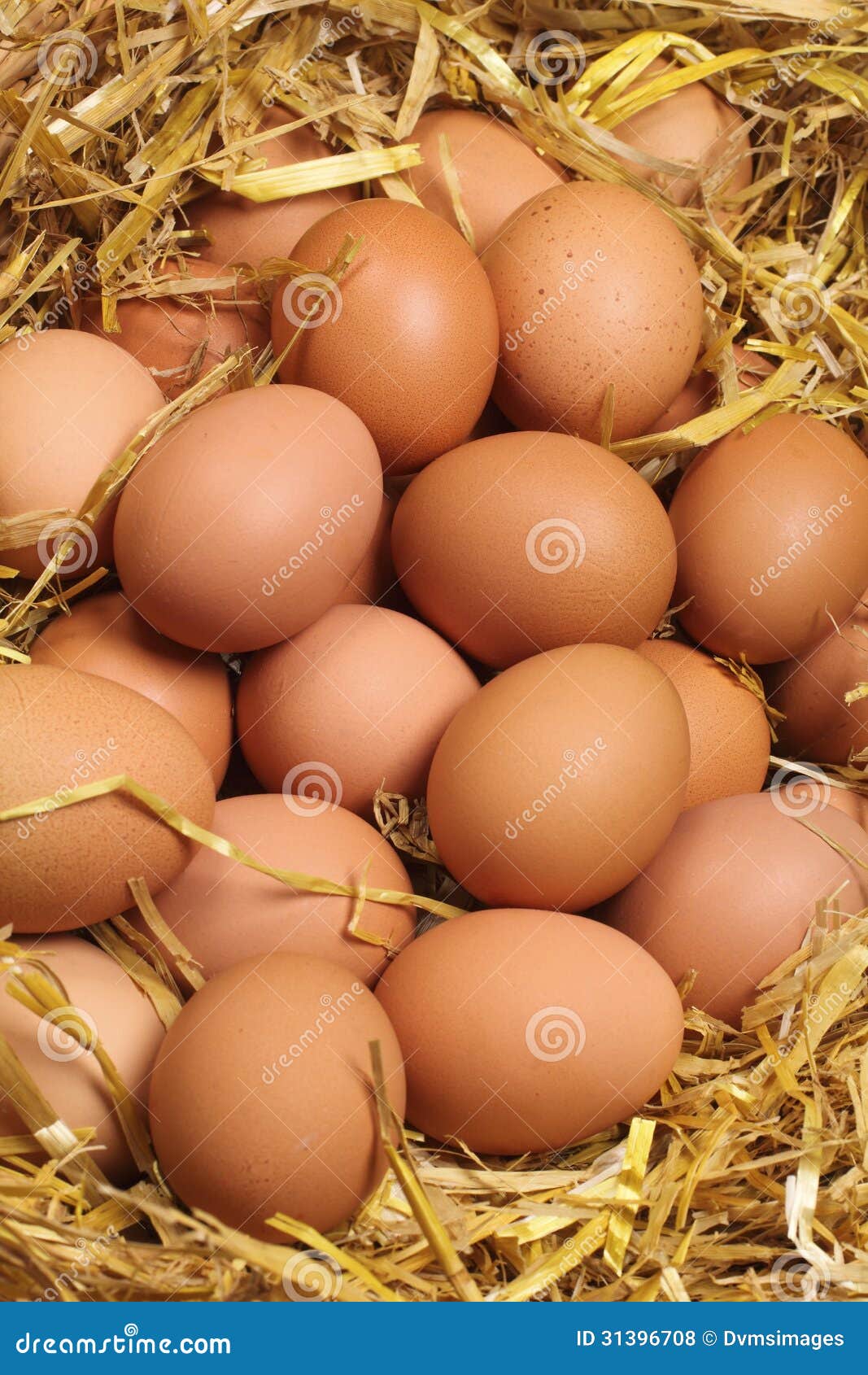 Fresh Eggs stock photo. Image of hens, produce, natural - 31396708