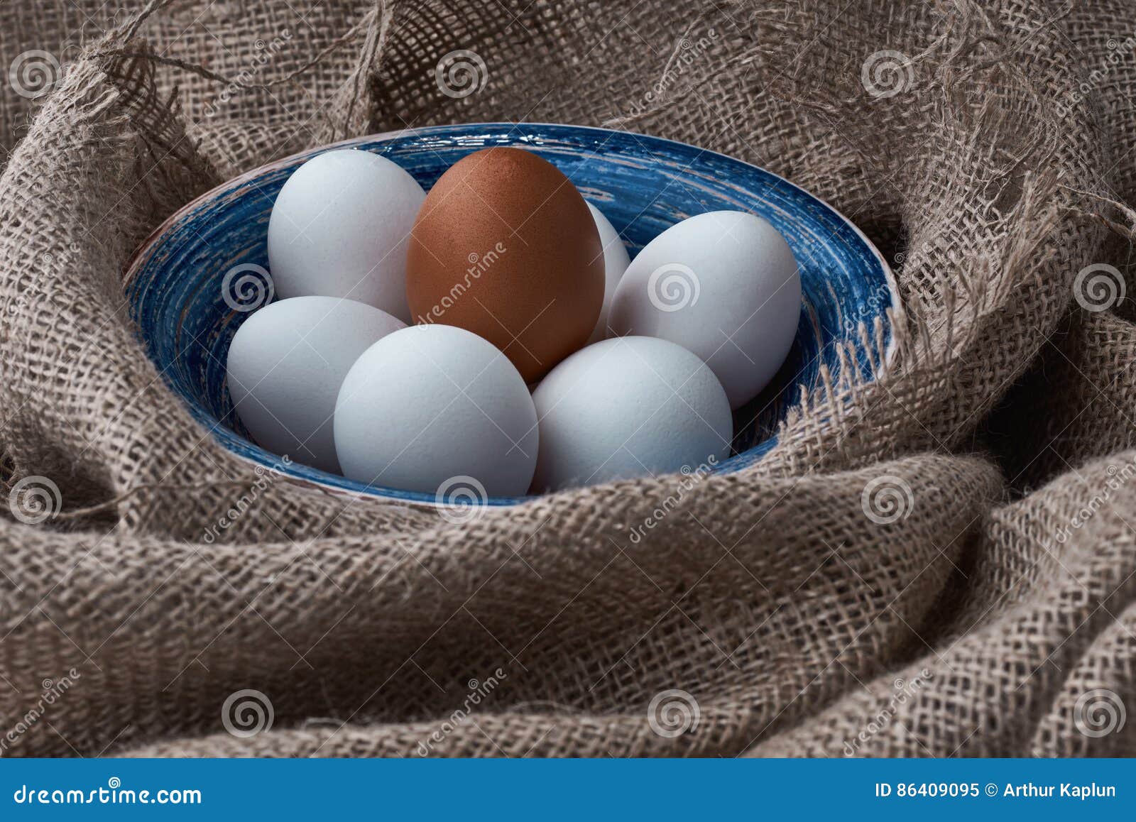 Fresh Eggs are Collected for Cooking Stock Image - Image of fresh, eggs ...