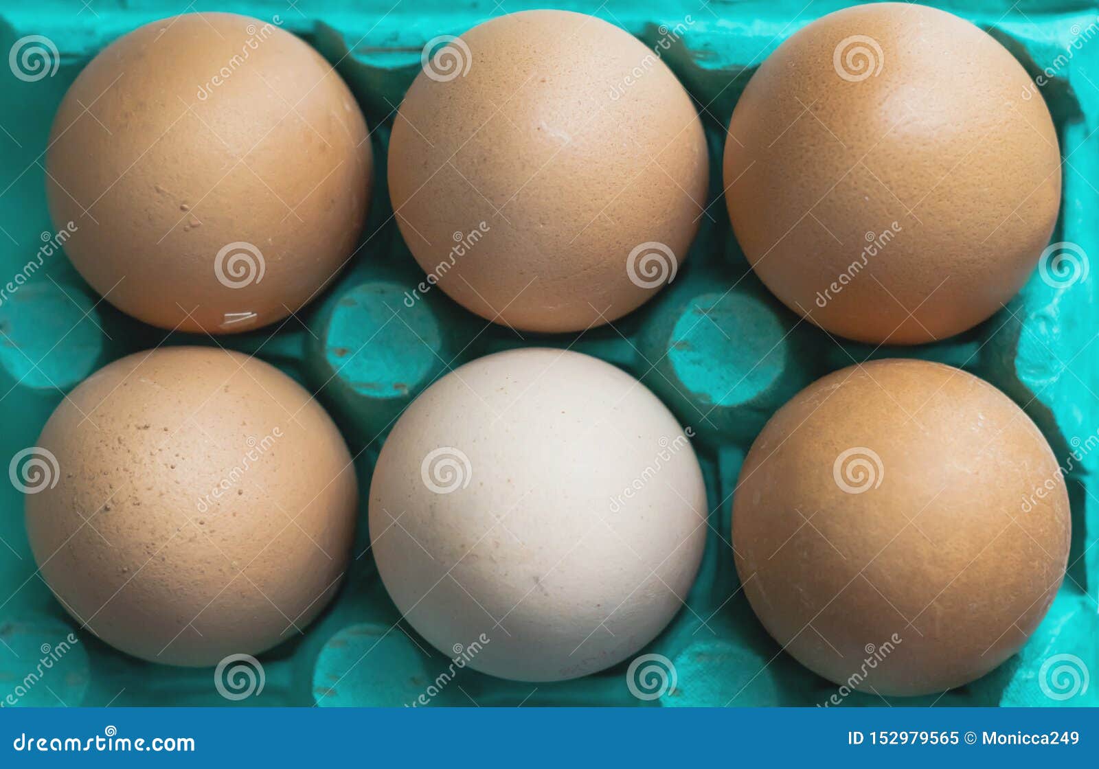 Fresh Eggs in Cyan Cardboard Container Stock Image - Image of container ...