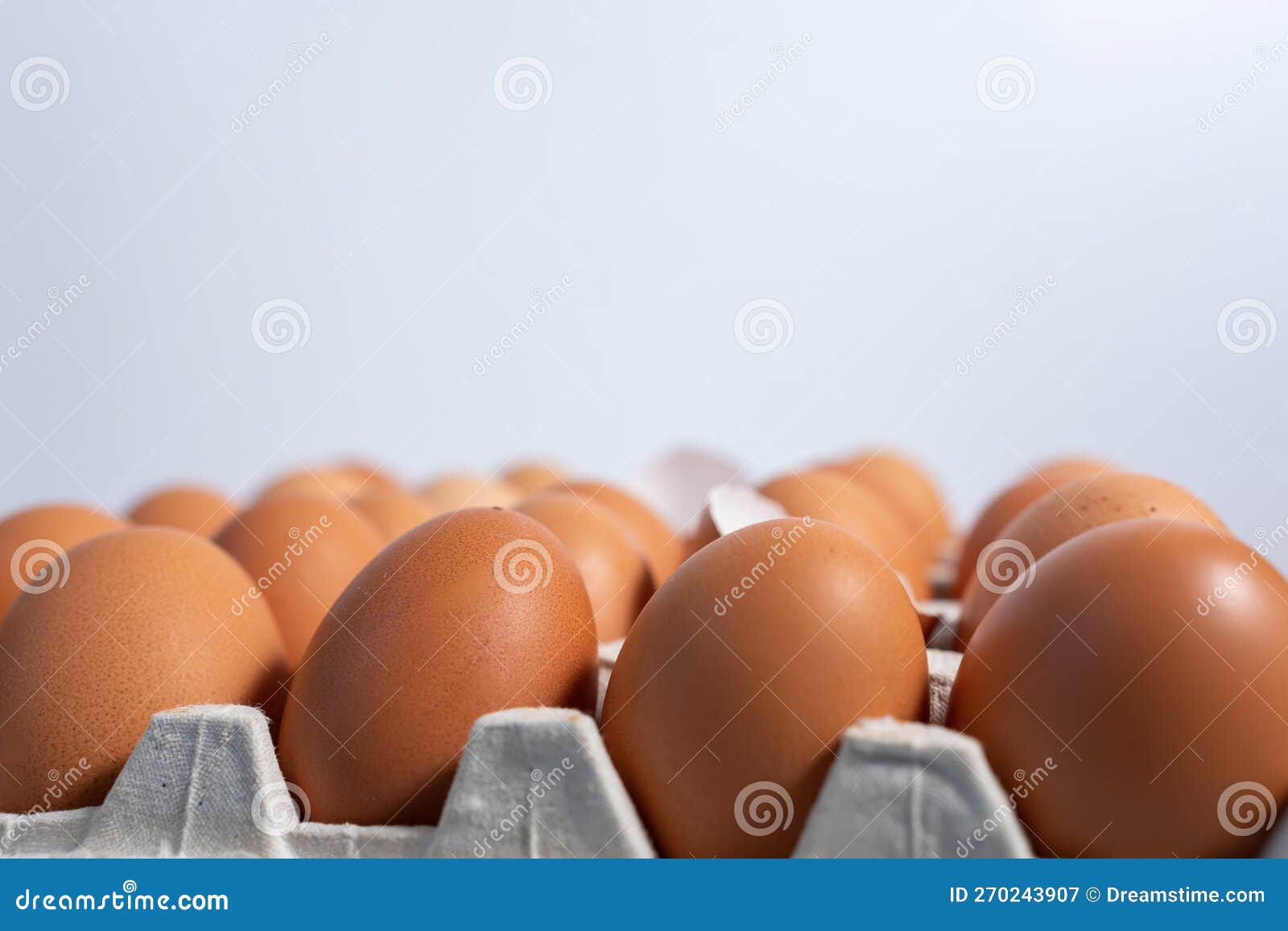 Fresh Eggs in the Egg Stall. Egg Tray or Egg Panel Stock Image - Image ...