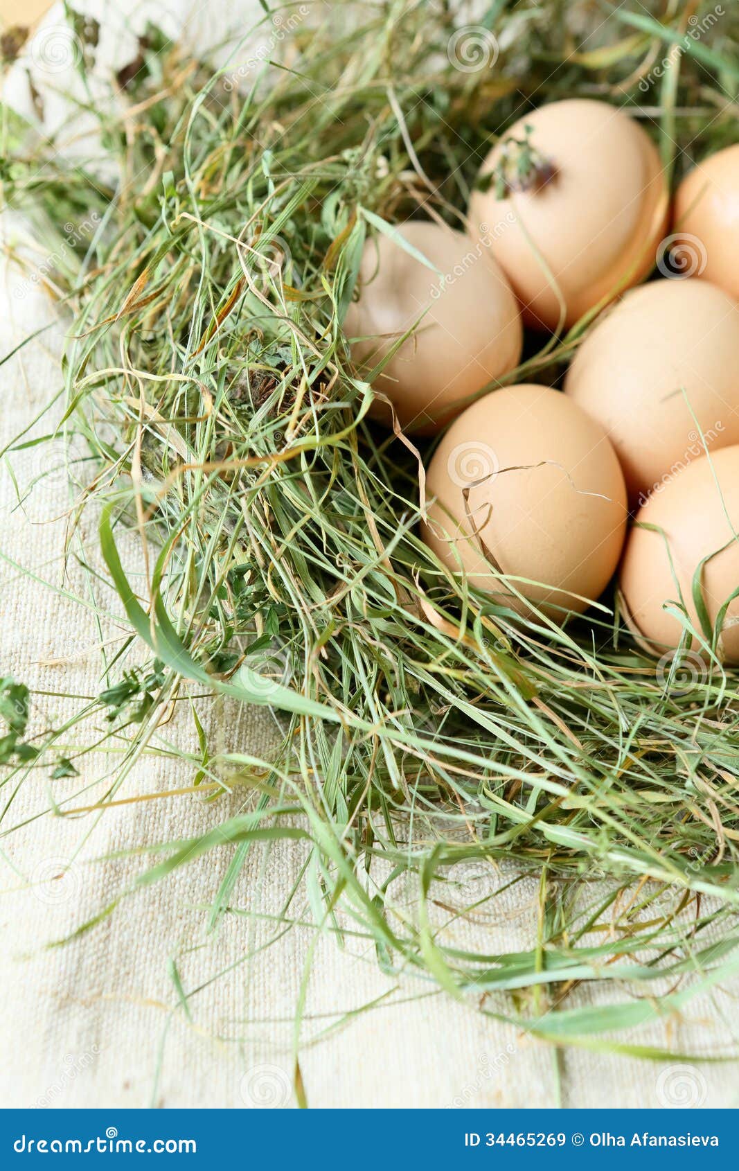 Fresh eggs in the manger stock image. Image of ingredient - 34465269
