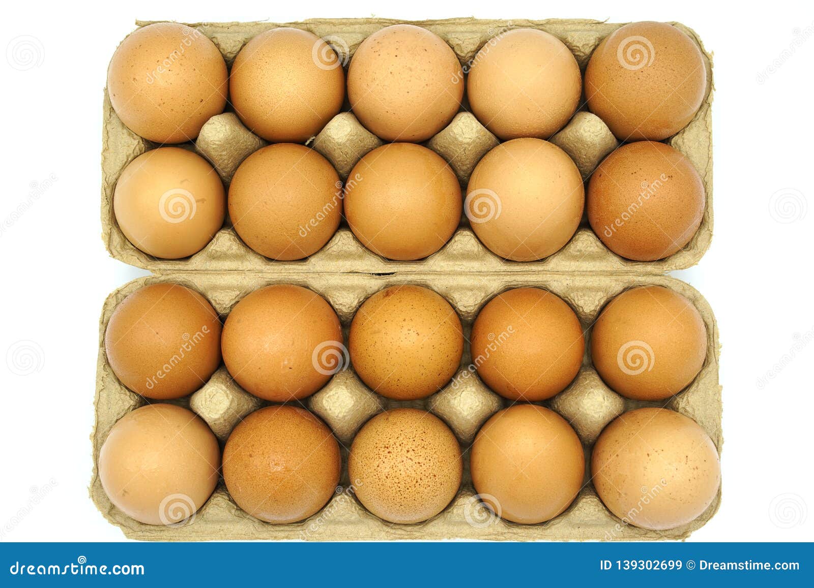 20 Eggs in Carton egg box stock image. Image of carton - 139302699