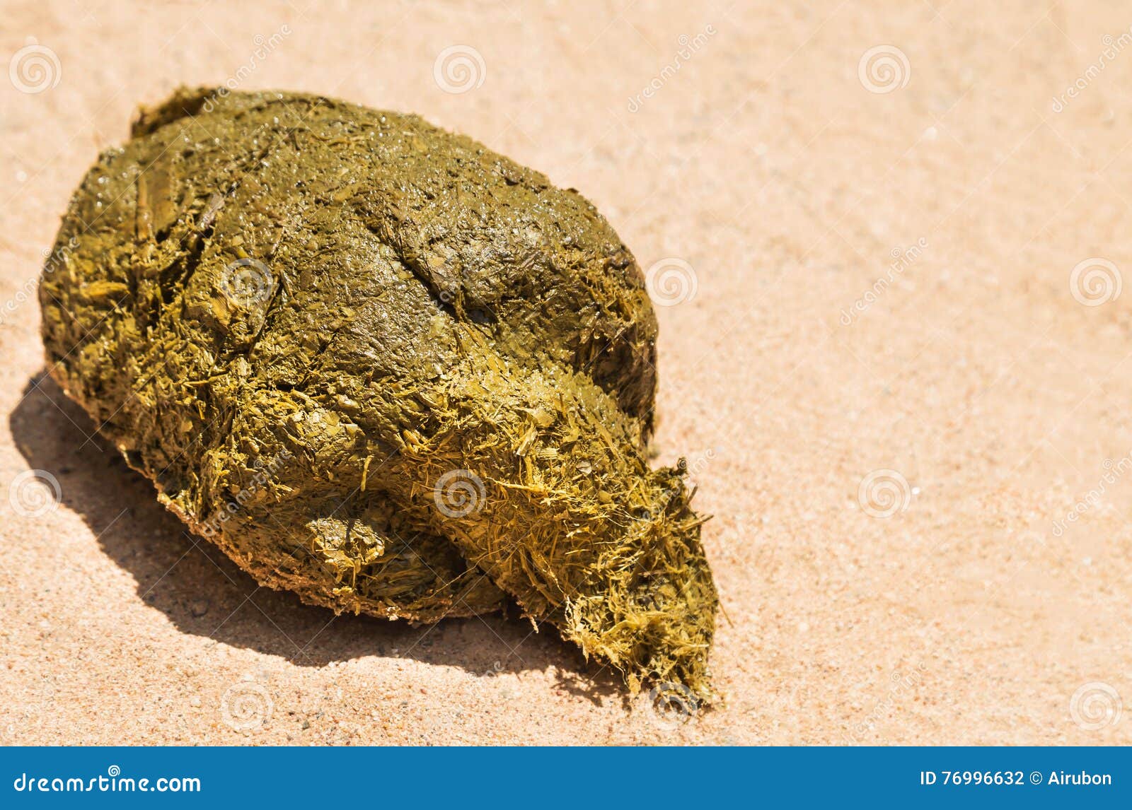 Fresh Cow Dung For Making Organic Fertilizer,too Soft Focus. Stock ...