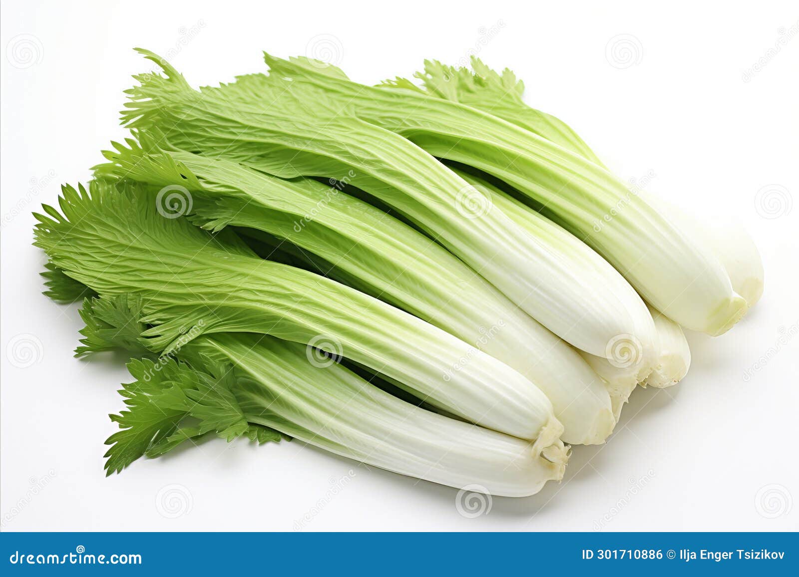 Fresh Endive On Clean White Backdrop, Visually Stunning For Ads And ...
