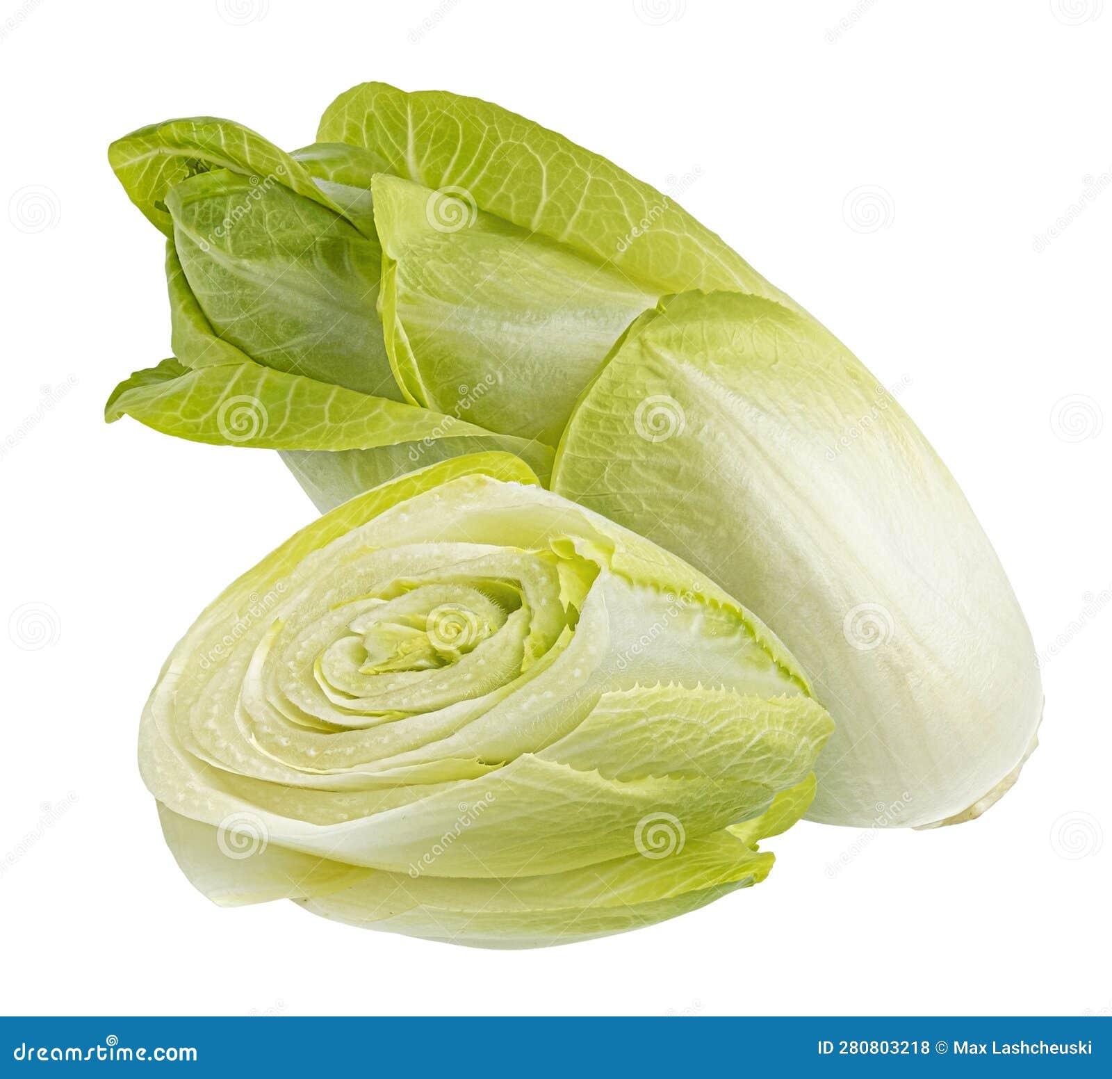 Fresh Endive On White Background For Eye Catching Advertisements And ...