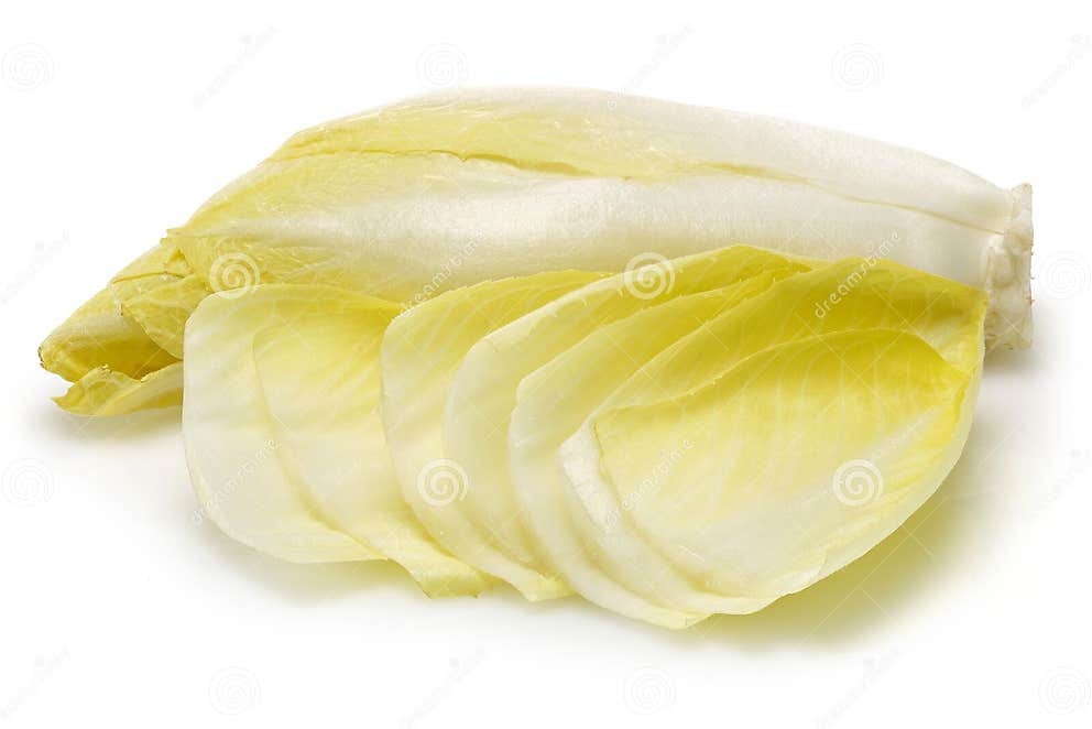 Fresh Endive Isolated on White Stock Photo - Image of isolated, leaf ...
