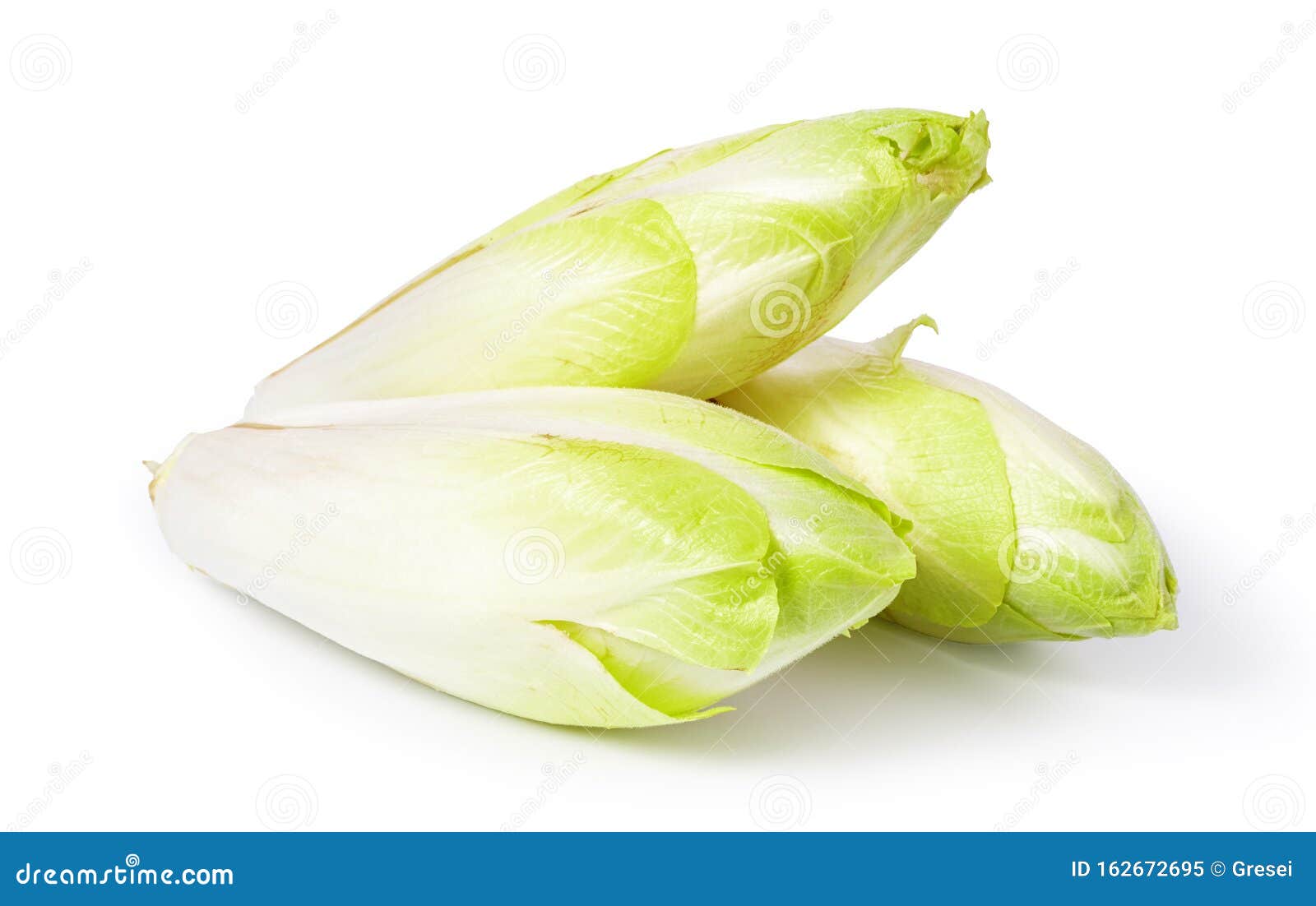 Fresh Endives stock image. Image of diet, fresh, agriculture - 162672695