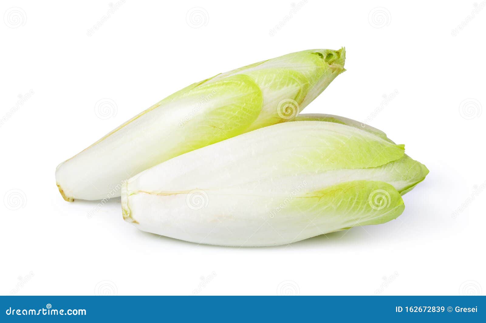 Fresh Endives stock image. Image of fresh, white, healthy - 162672839